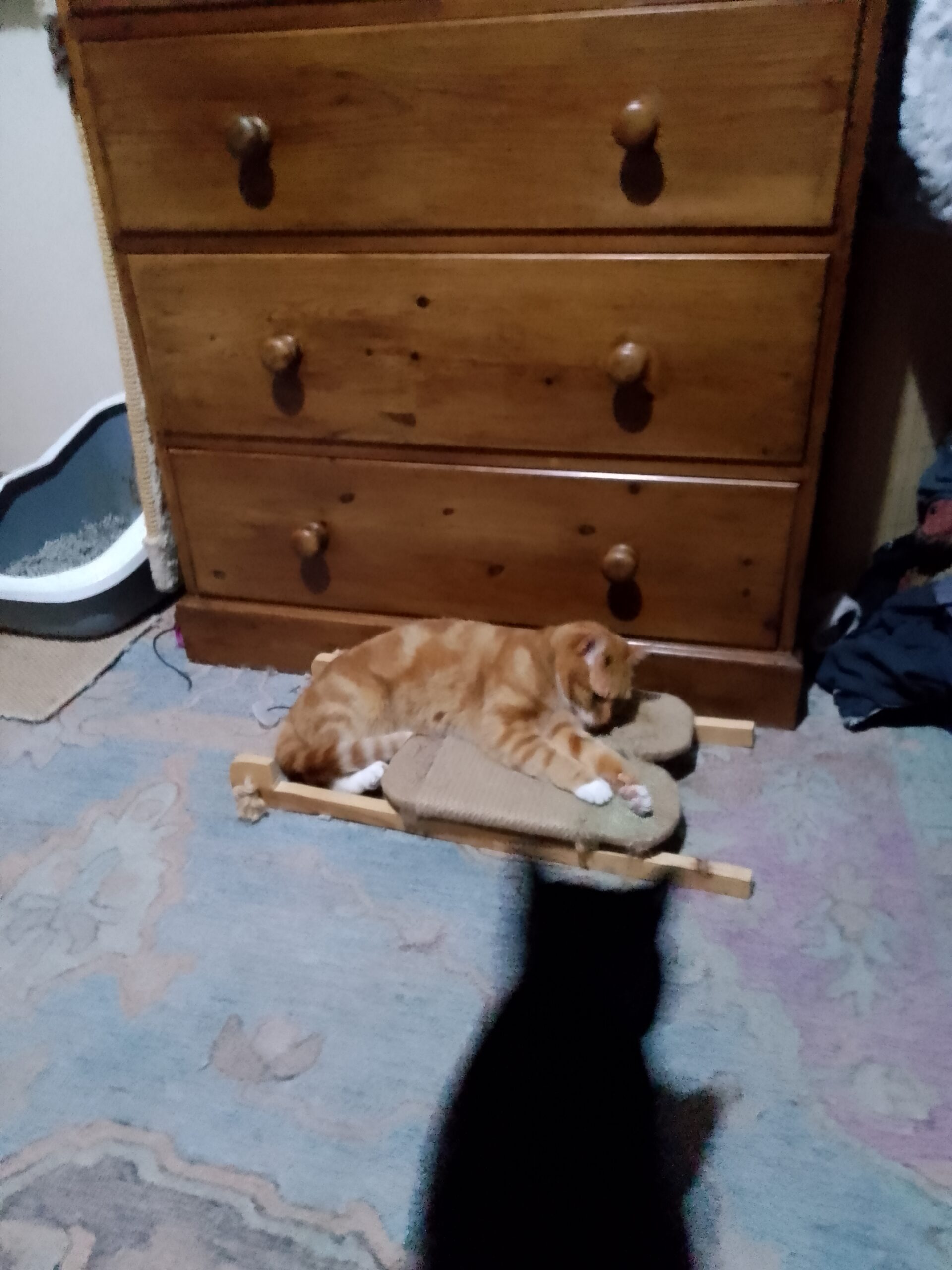 Terminator - The Lick